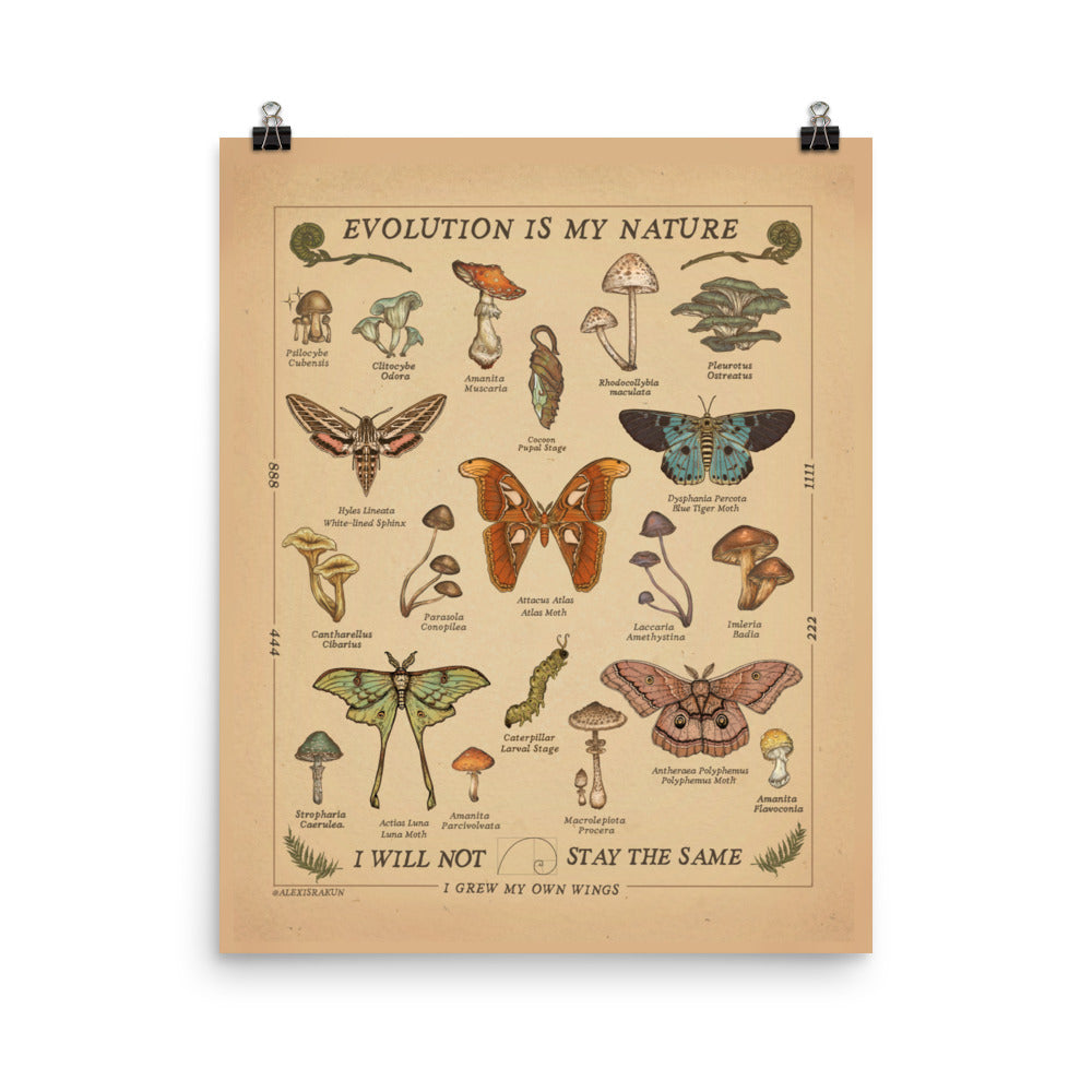“Evolution Is My Nature” Moths & Mushrooms | Academic Poster – Alexis ...